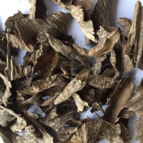 Agarwood Price - OUD WOOD AGARWOOD KINAM