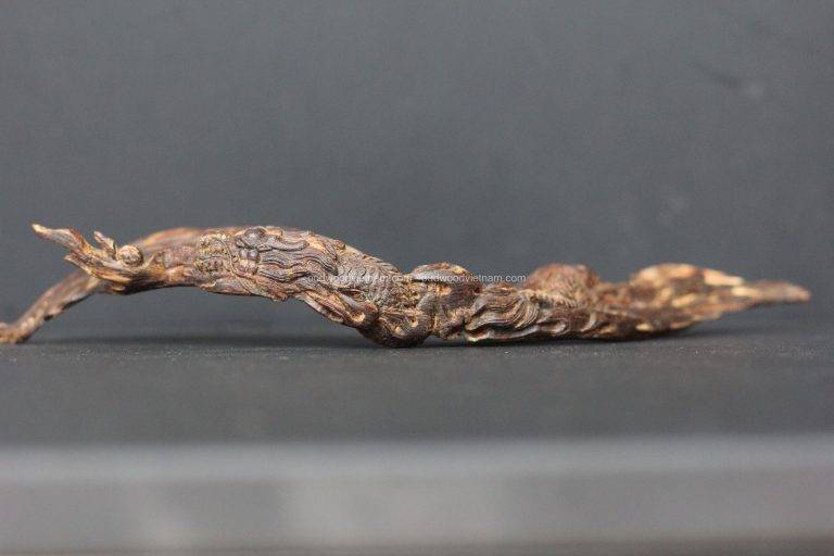 kinam-ky nam-kyara-qi-nan-calambac-奇楠 - OUD WOOD AGARWOOD KINAM