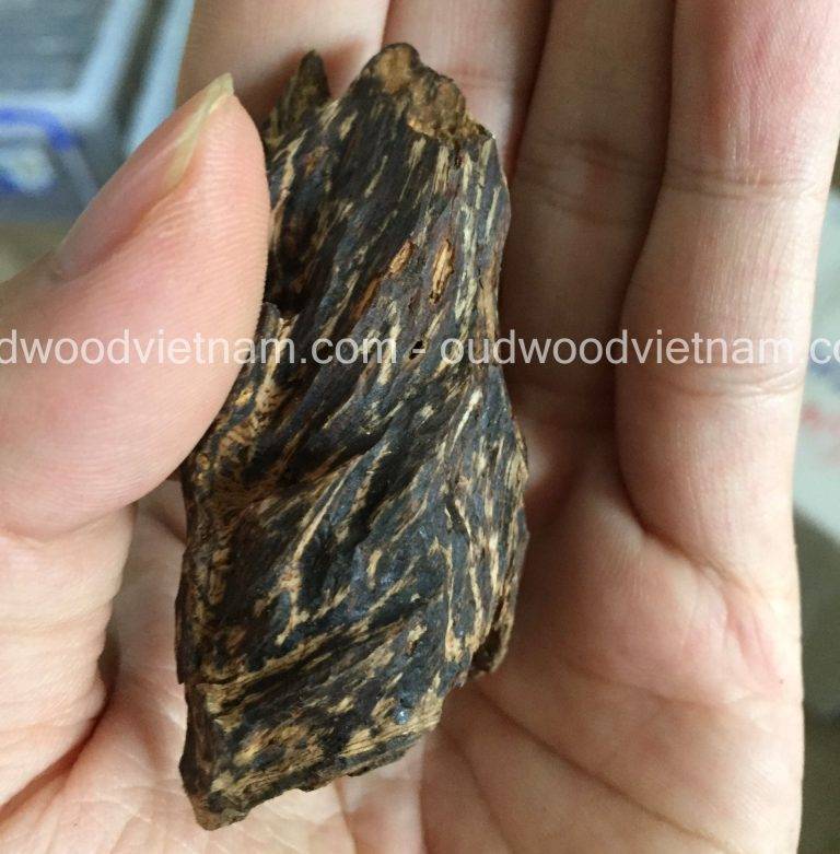 Arabic oud for sale - Most valuable wood - OUD WOOD AGARWOOD KINAM