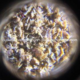 Kinam - OUD WOOD AGARWOOD KINAM